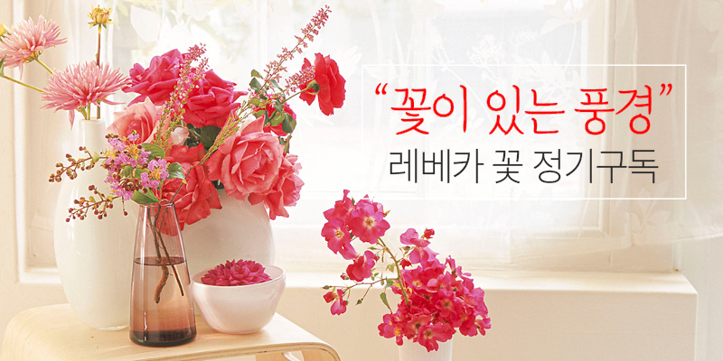 레베카 꽃 정기구독 (생화·제철꽃)
